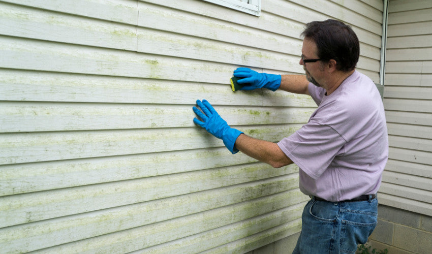 Siding Savvy: A Comprehensive Guide to Maintaining Different Siding Ty